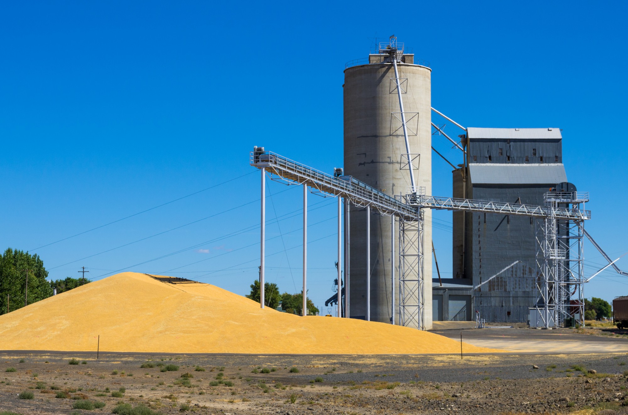 Keep Gaining in the Grain Industry with These Conveyor Troubleshooting ...